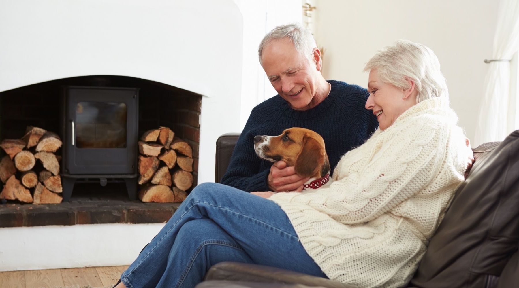 Pet Information In Milford, CT | Silver Sands Veterinary